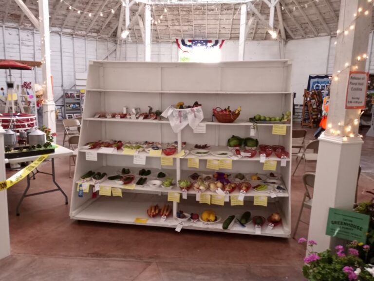 Home - The Cedar County Fair